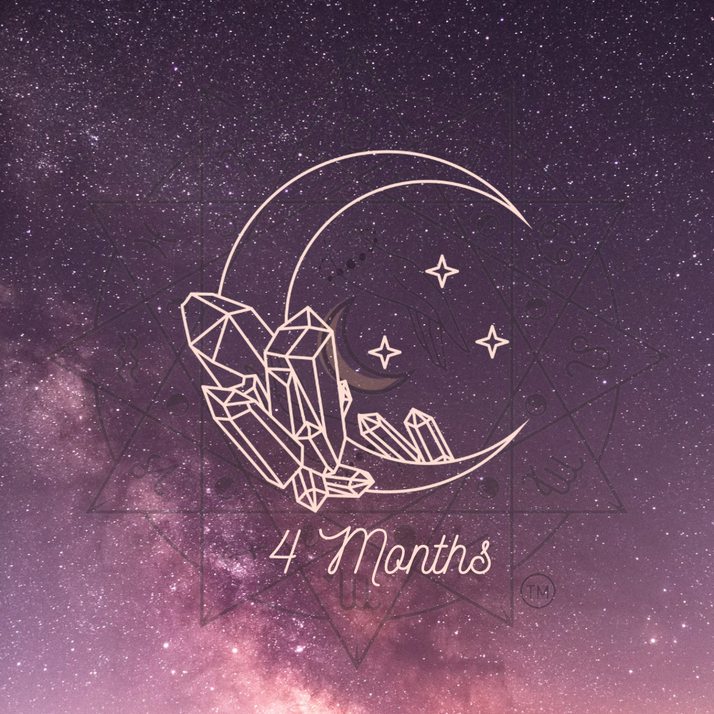 Paid Group (4 Months) – The Lunar Method -The Original Gender Sway LLC