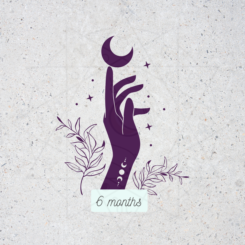 Quarter Moon℠ (6 Months) – The Lunar Method -The Original Gender Sway LLC